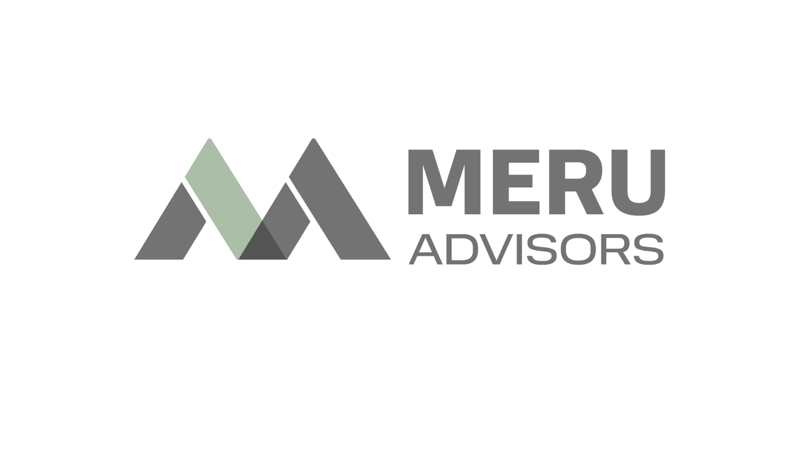 Member profile: Meru Advisors LLC | BIA