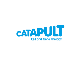 CGT Catapult supporting VascVersa to develop pre-treatment test | BIA